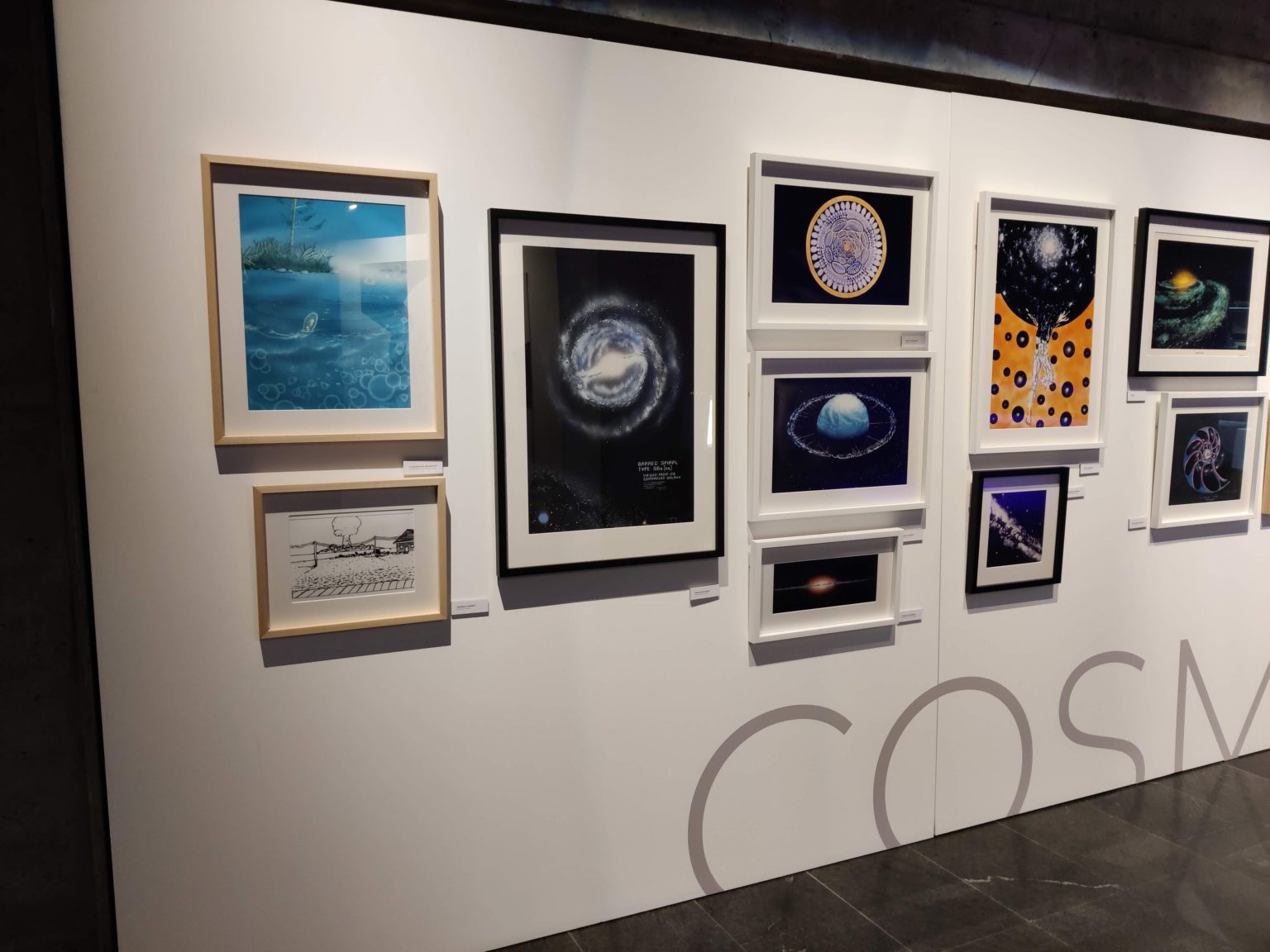 Exhibition of Jon Lomberg - COSMOS y el legado de Carl Sagan